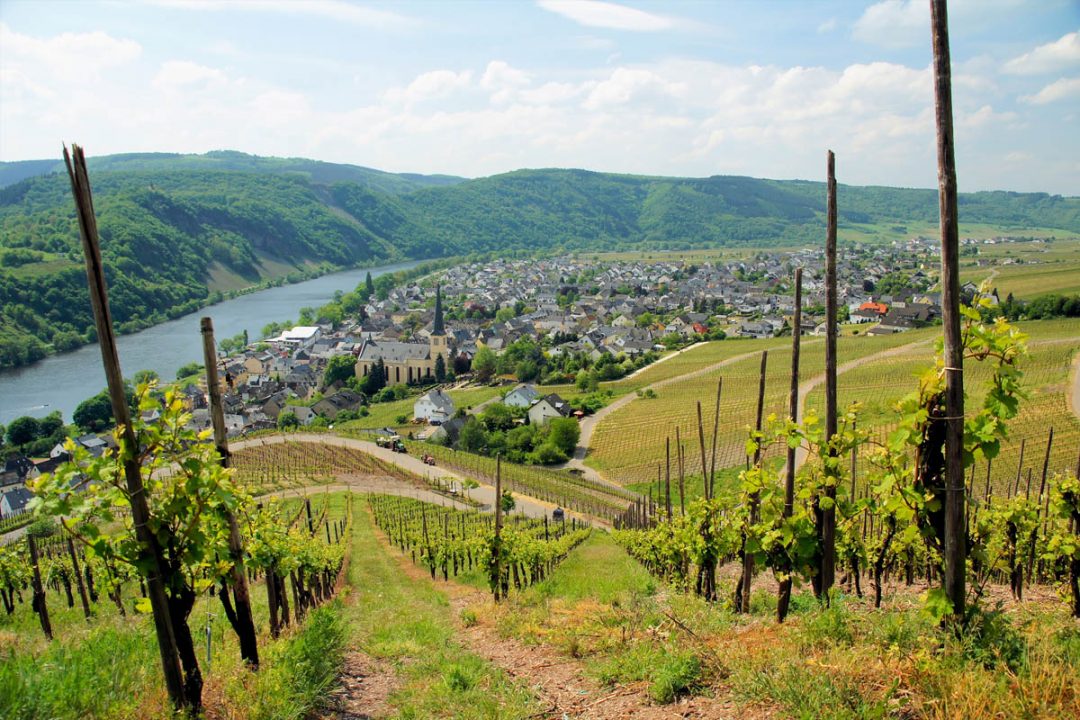 Attraktion - Hotel - Restaurant Panorama Kröv